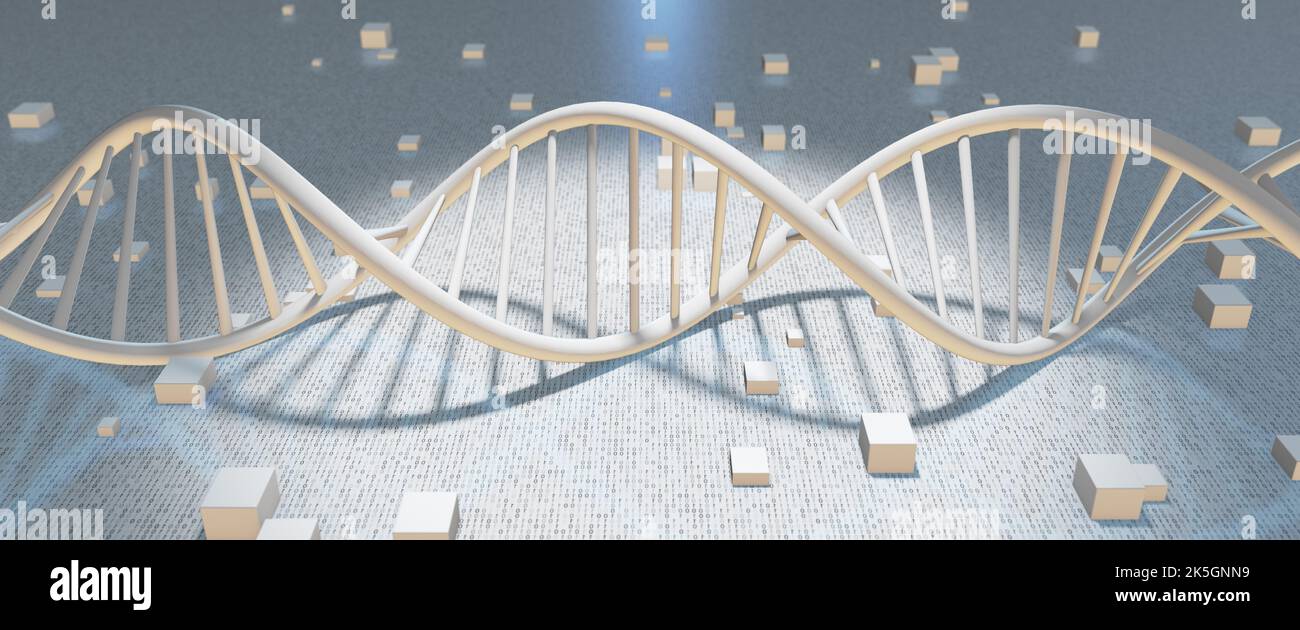 DNA (deoxyribonucleic acid) molecule, illustration Stock Photo - Alamy