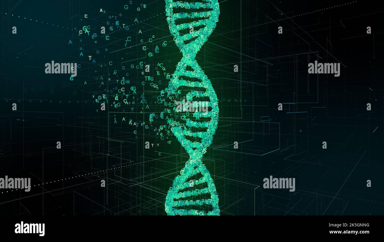Deoxyribonucleic acid (DNA) molecule, illustration Stock Photo - Alamy