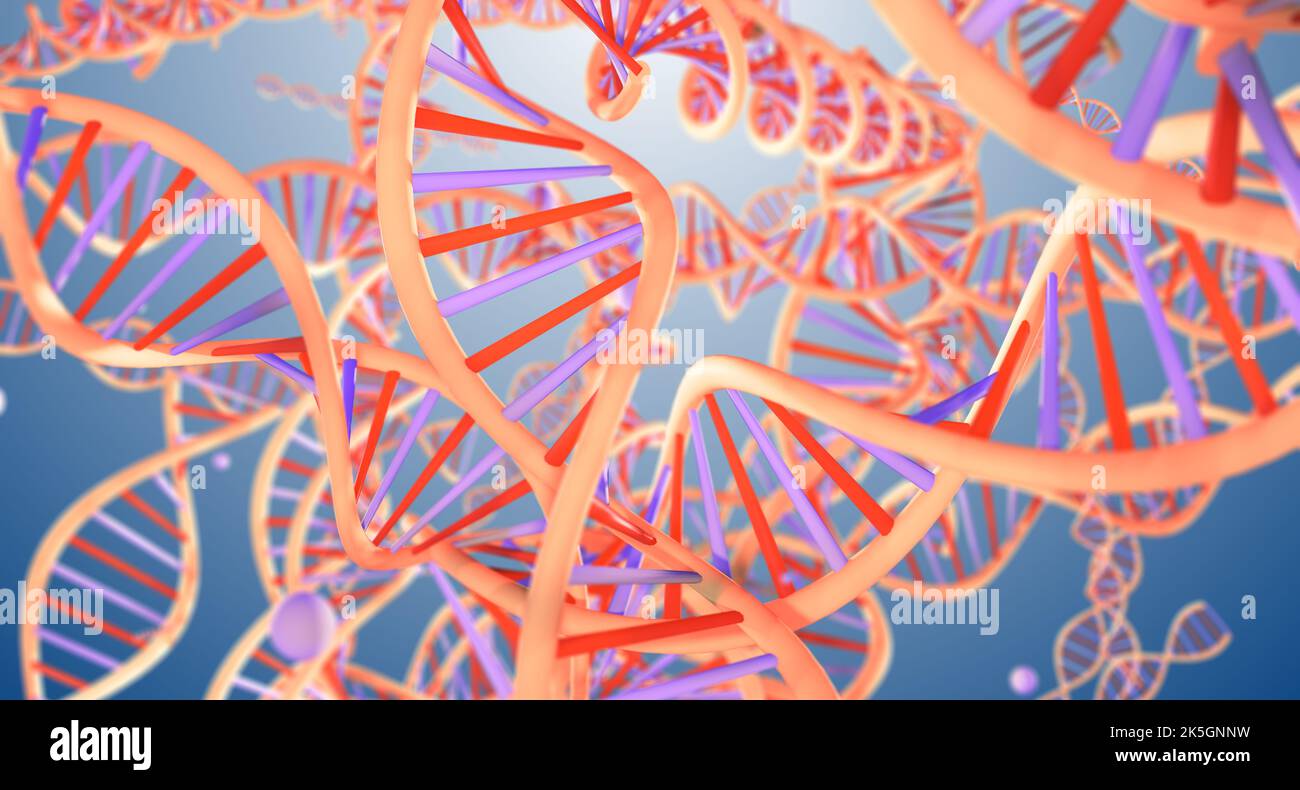 DNA (deoxyribonucleic acid) molecules, conceptual illustration Stock Photo - Alamy
