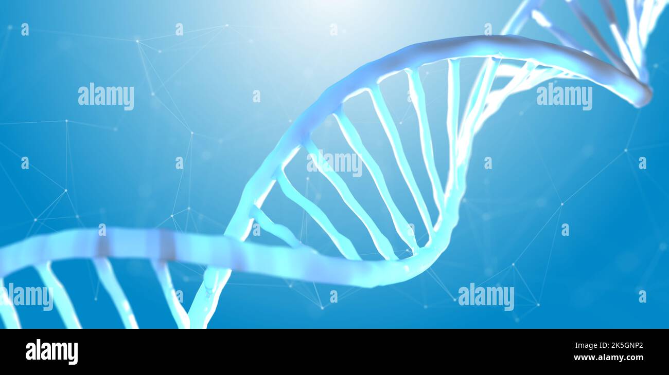 DNA (deoxyribonucleic acid) molecule, illustration Stock Photo - Alamy