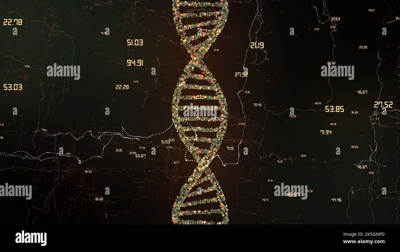 DNA (deoxyribonucleic acid) molecule, conceptual illustration Stock ...