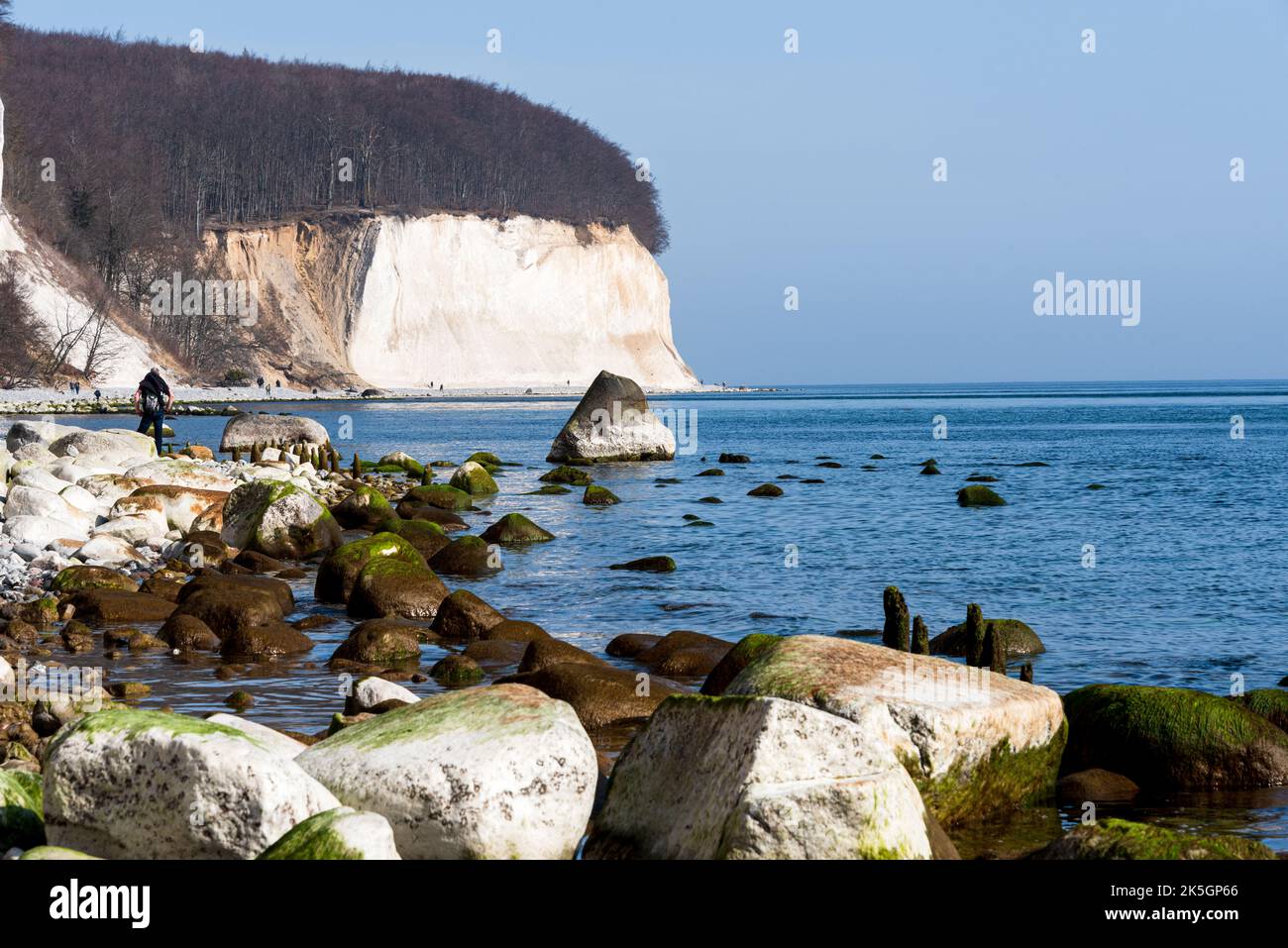 Ostseeinsel Rügen Sassnitz steinige Felsküste mit Kreidefelsen auf dem ...