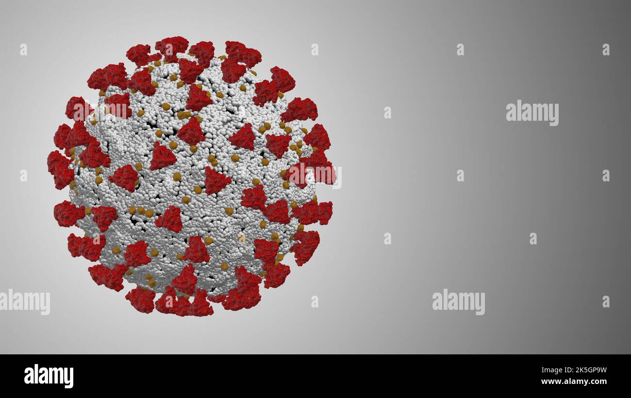 Coronavirus particle, illustration. SARS-CoV-2 is an enveloped RNA ...