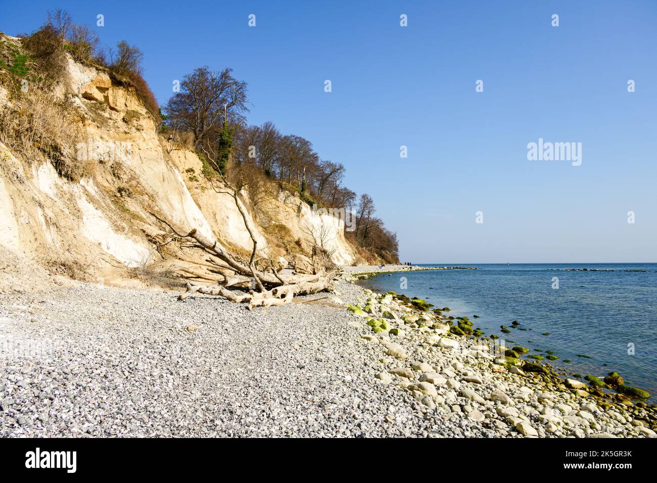 Ostseeinsel Rügen Sassnitz steinige Felsküste mit Kreidefelsen auf dem ...