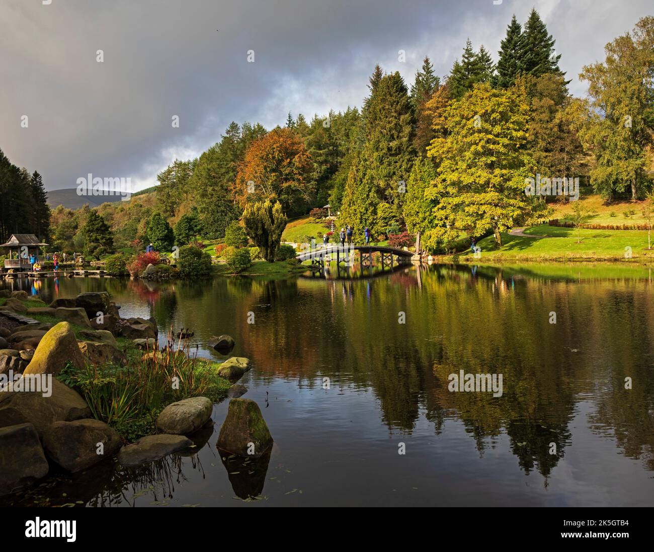 Cowden, Clackmannanshire, Scotland, UK. 8 October 2022. Autumn foliage ...