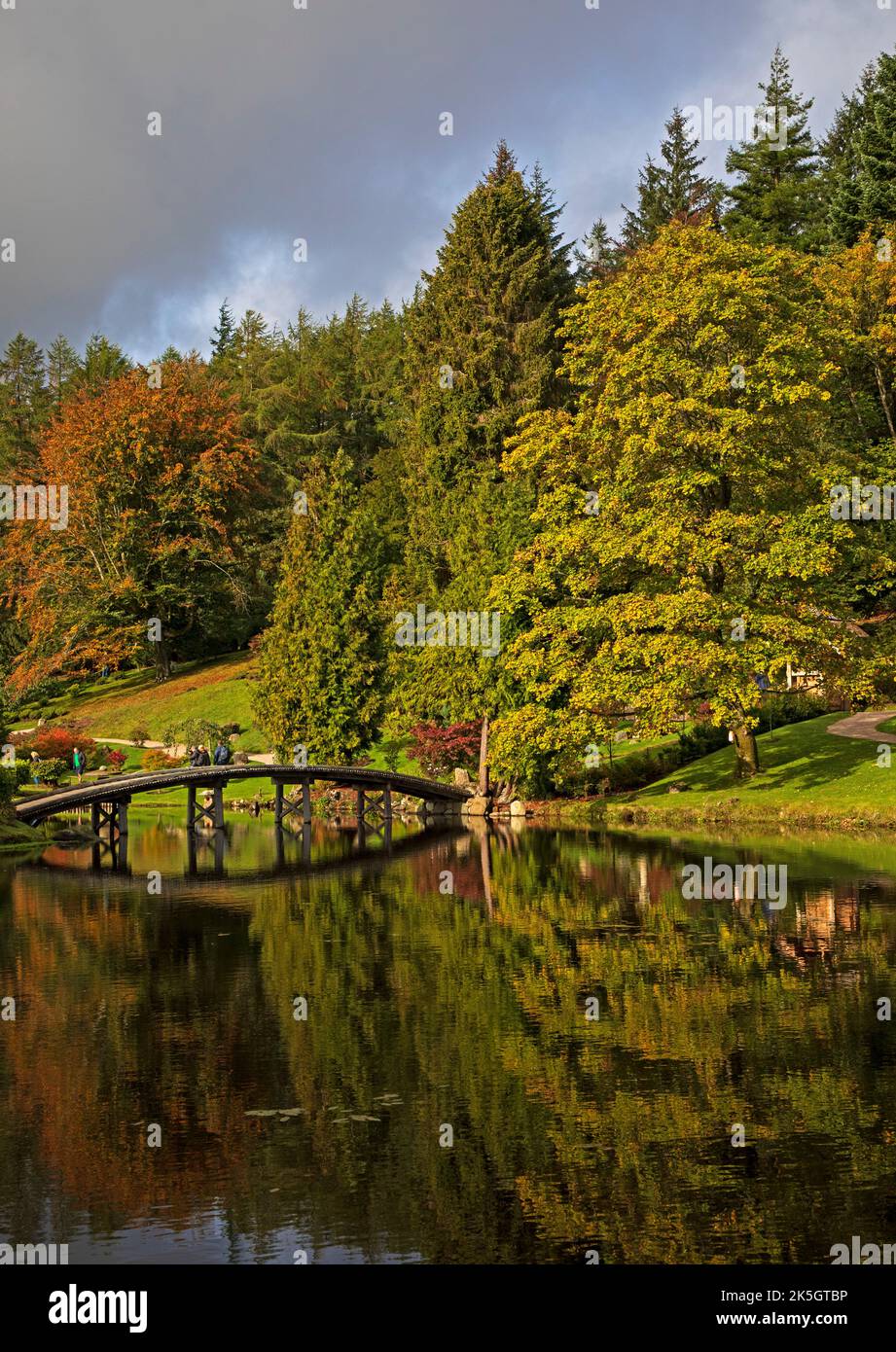 Cowden, Clackmannanshire, Scotland, UK. 8 October 2022. Autumn foliage ...