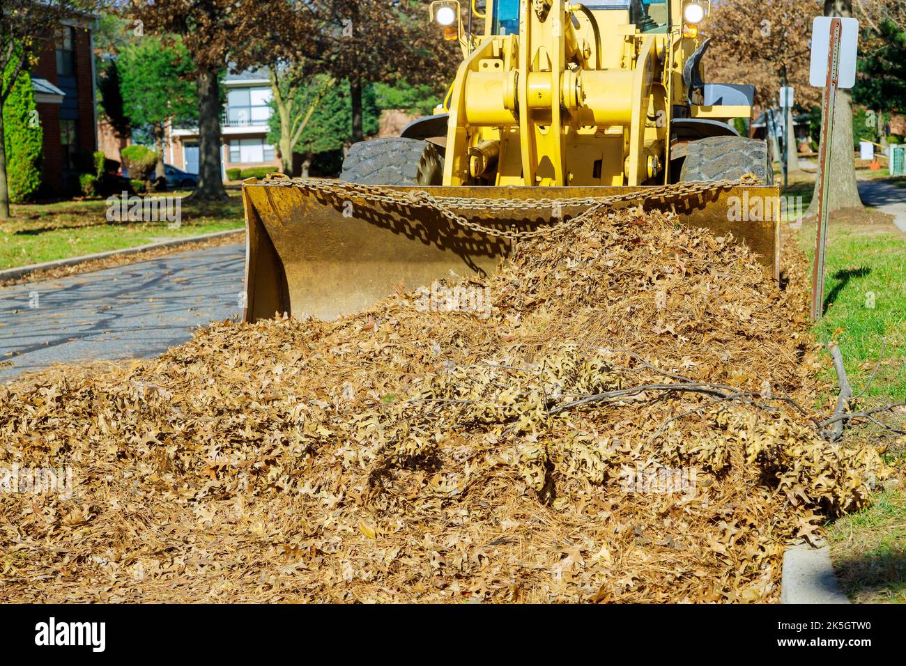 During autumn, municipal workers clean up by removing fallen leaves ...