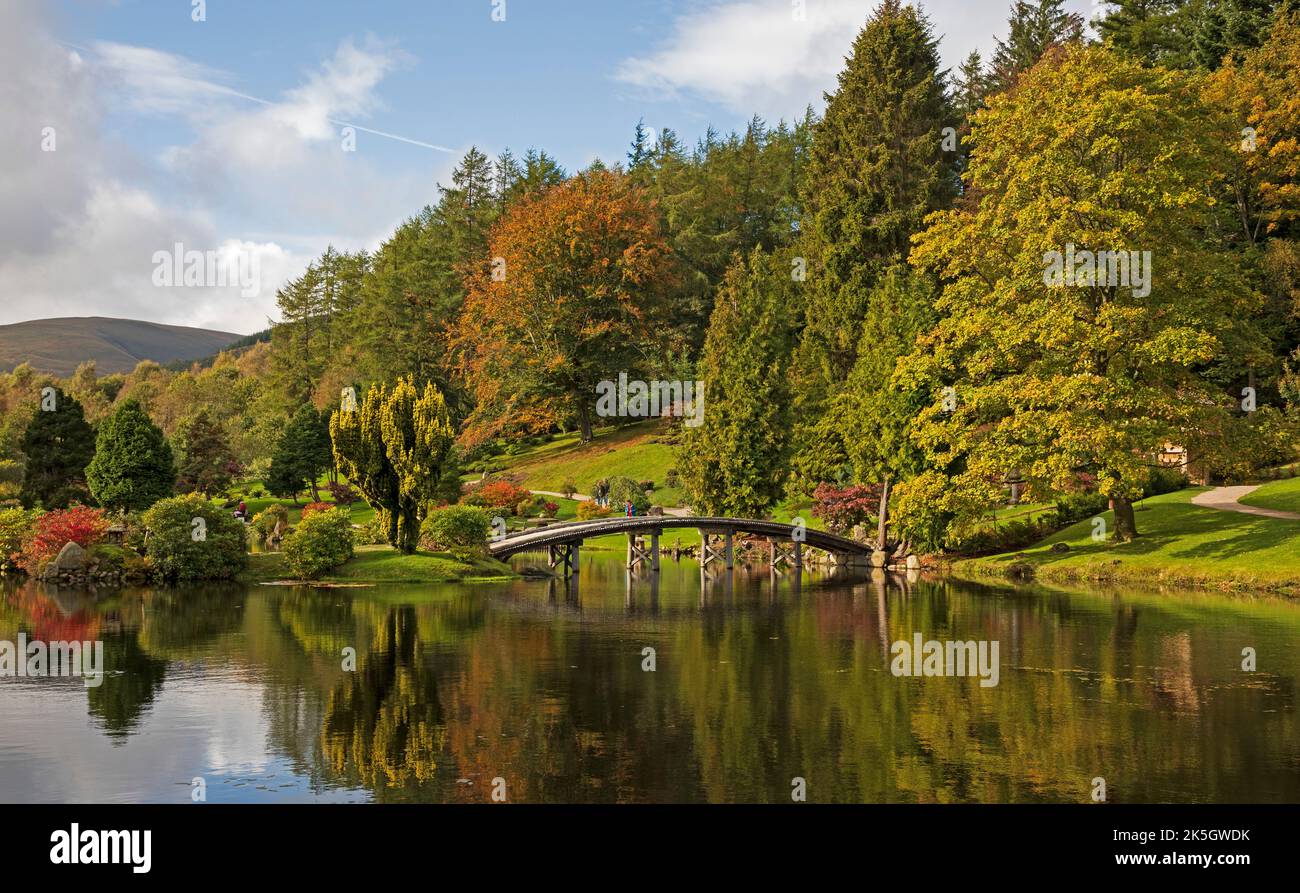 Cowden, Clackmannanshire, Scotland, UK. 8 October 2022. Autumn foliage ...