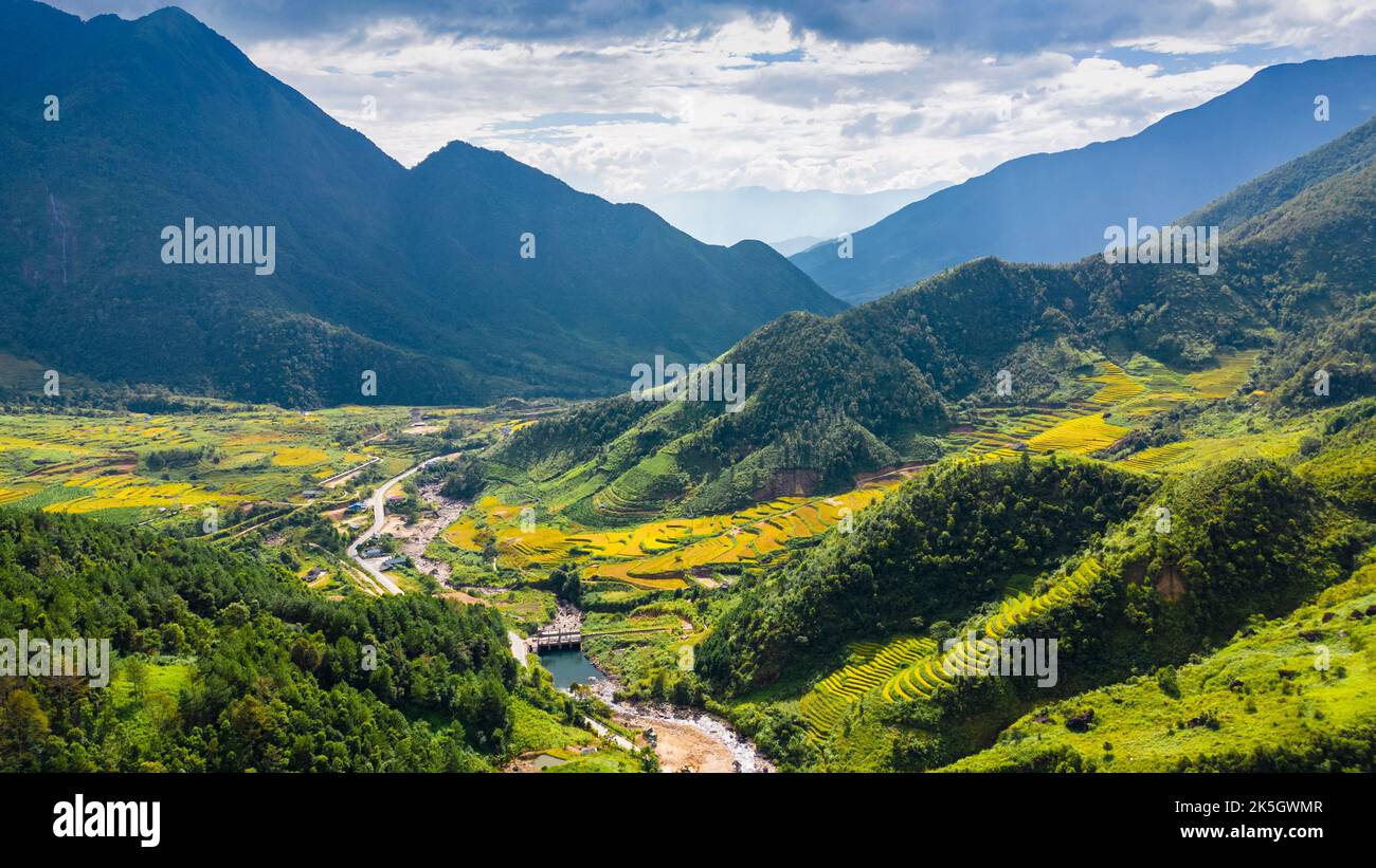 Basho tree hi-res stock photography and images - Alamy