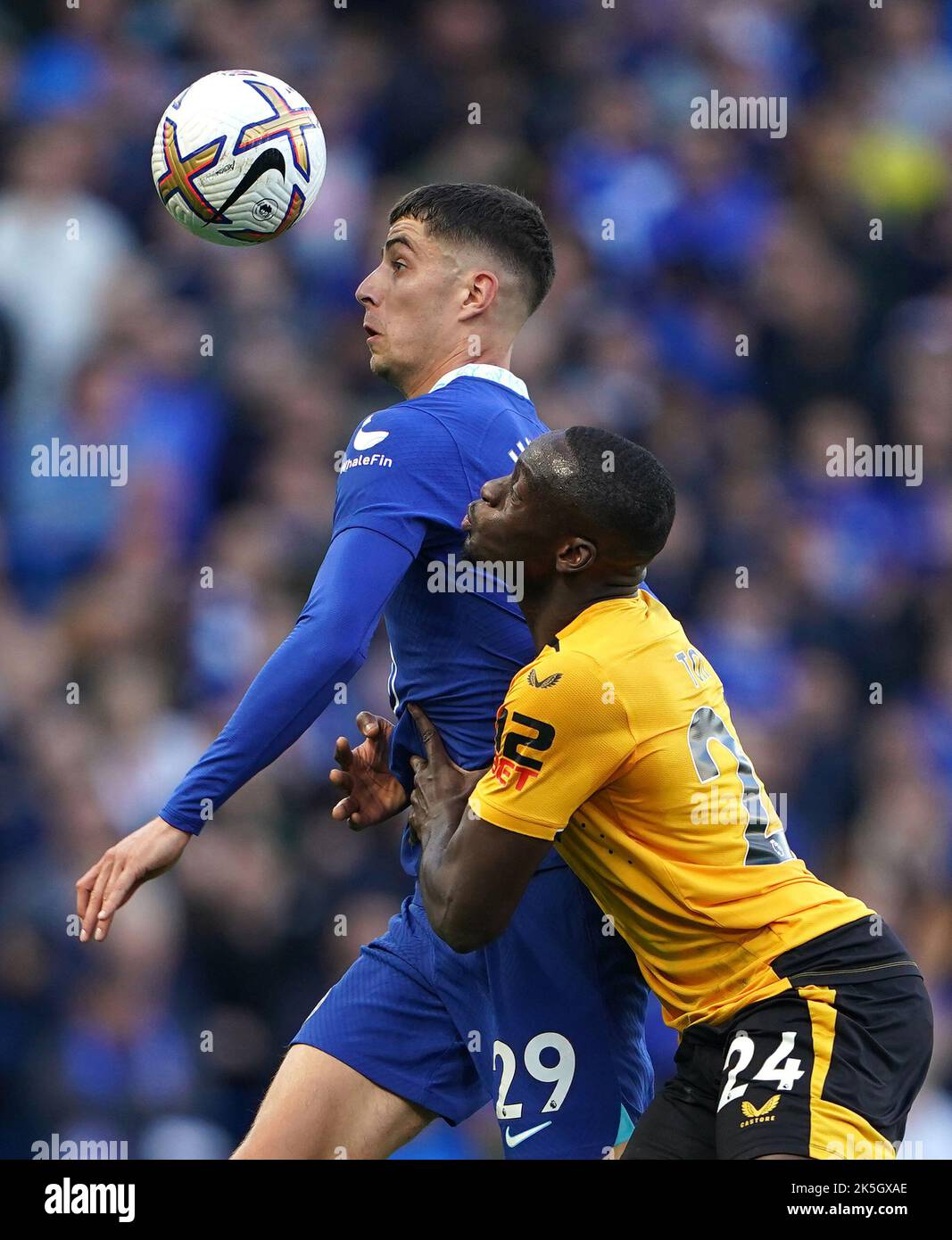 Toti gomes wolves hi-res stock photography and images - Alamy