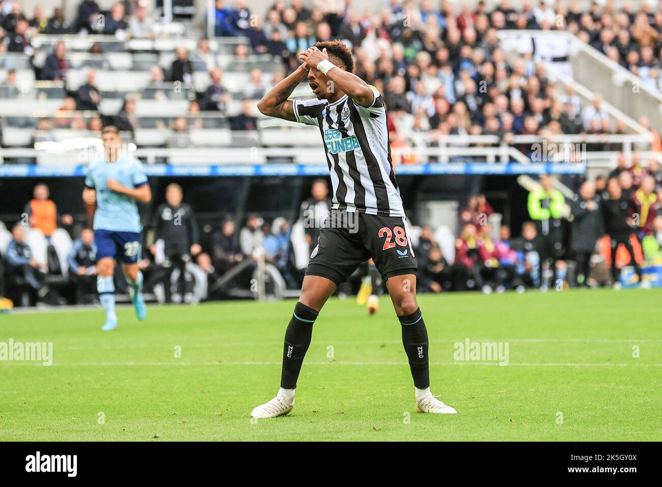 St jamess parkjoe willock hi-res stock photography and images - Alamy