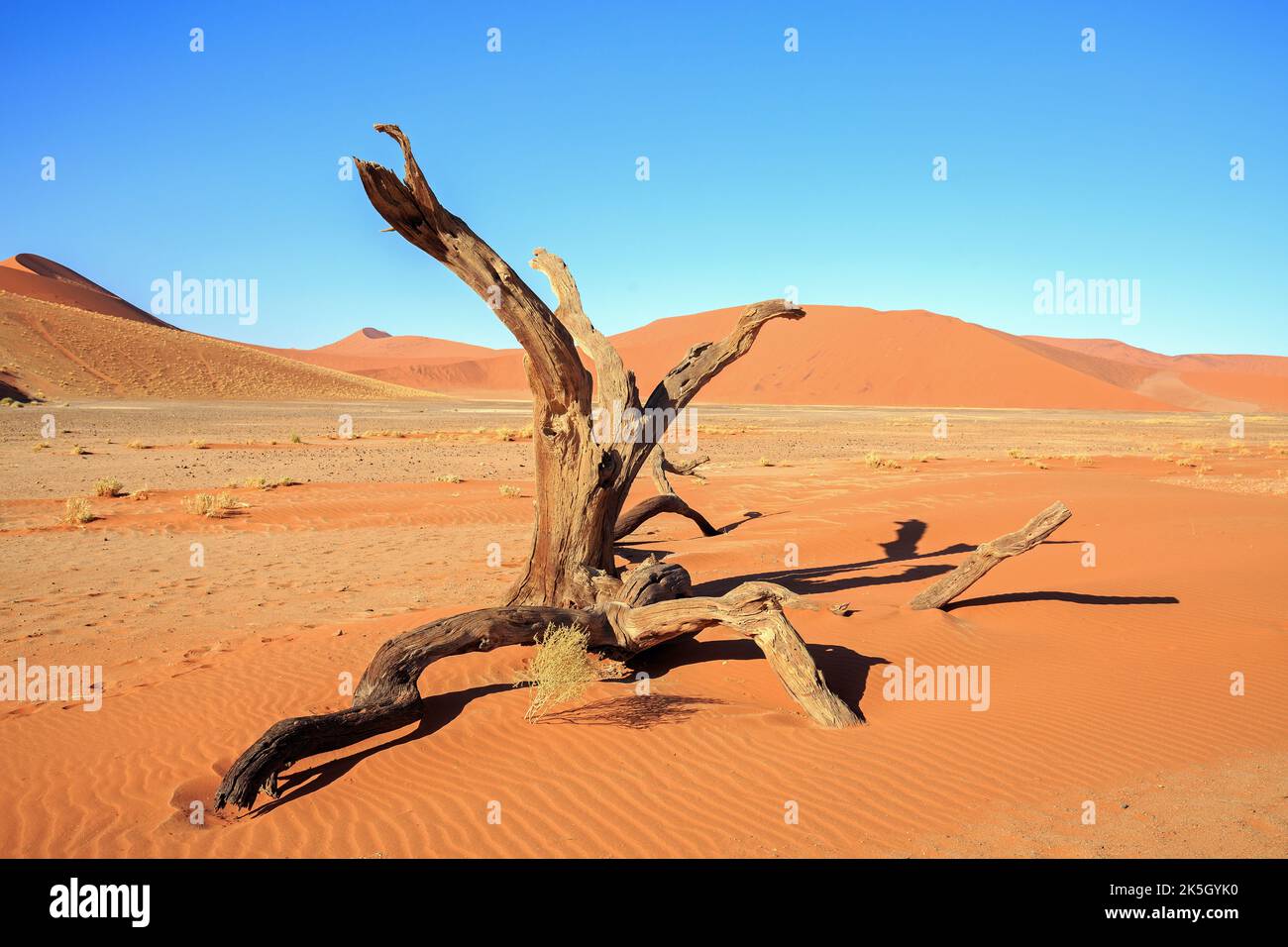 Orange sand dunes hi-res stock photography and images - Alamy