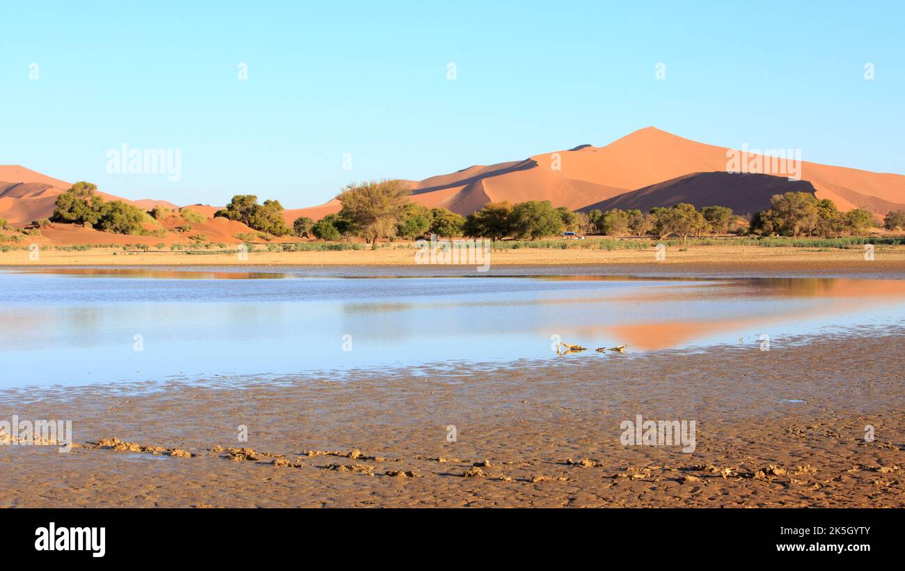 An amazing sight, in the heart of the Namib Desert, is the ephemeral ...