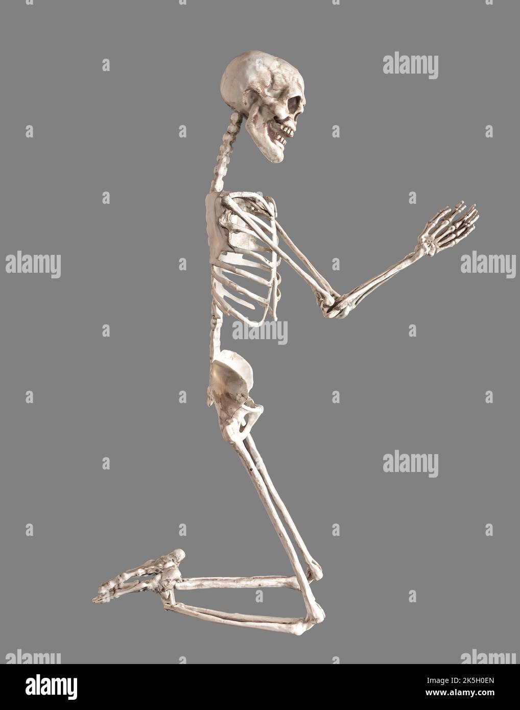 Skeleton prayer kneeling side view. Skeletal human praying to lord ...