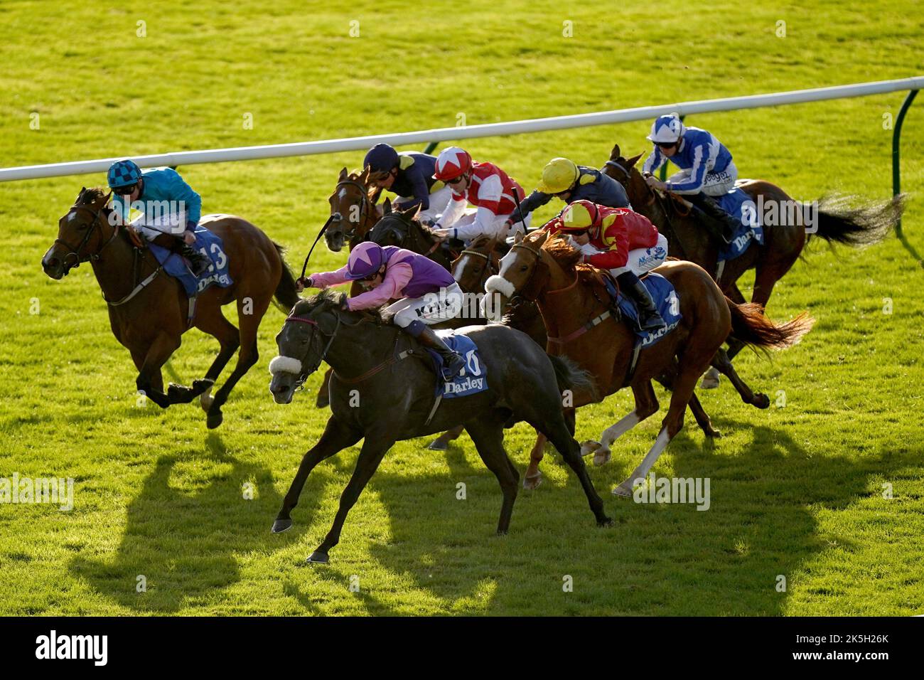 Azure blue racecourse hi-res stock photography and images - Alamy