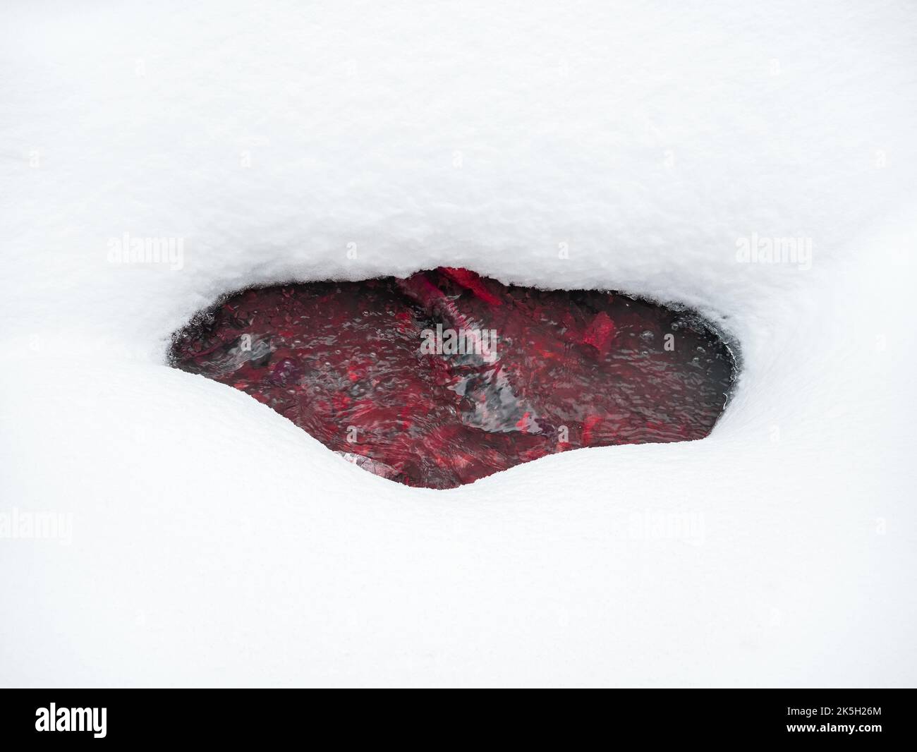 Abstract minimalist picture of a red blood stream flowing beneath the ...
