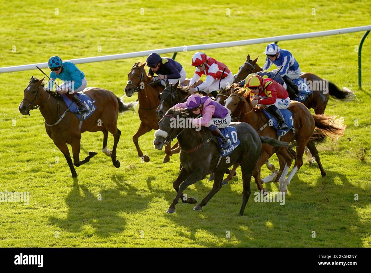 Azure Blue (2nd-left) ridden by David Egan on way to winning Blue Point ...