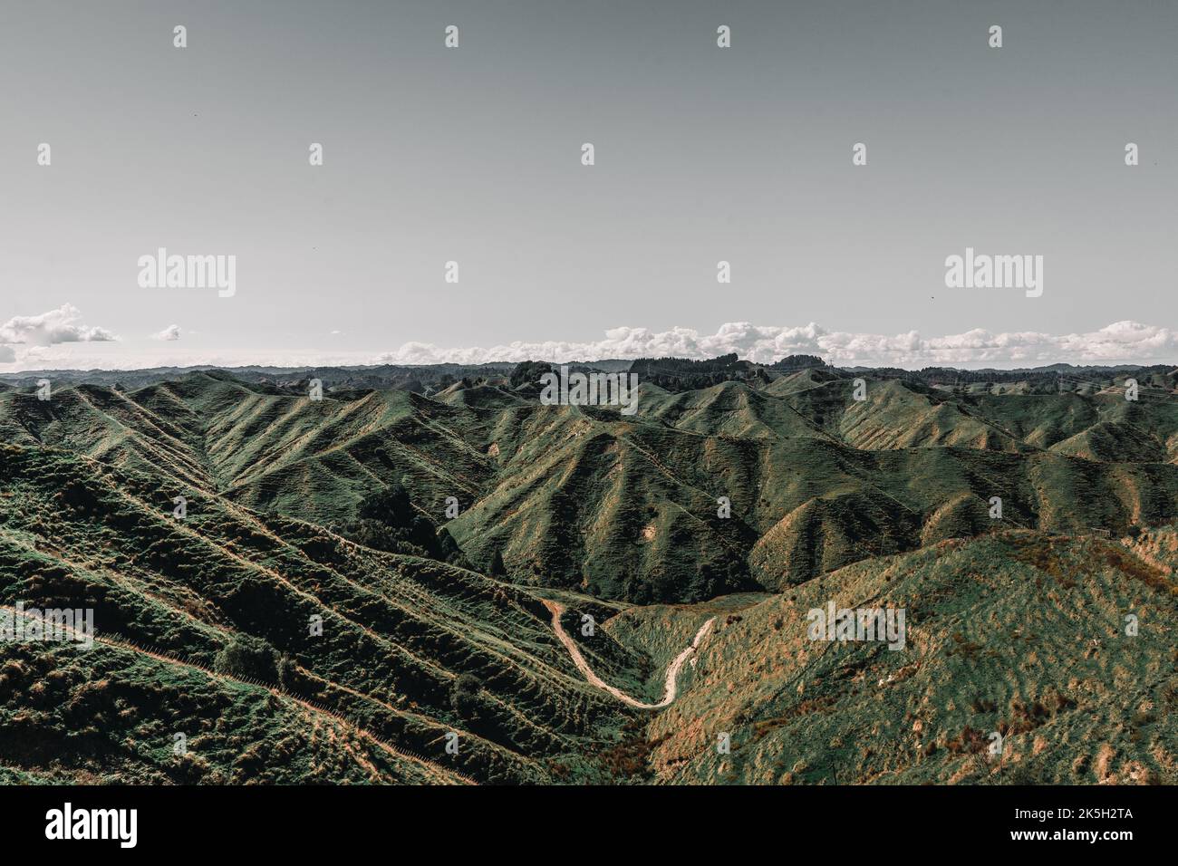 Small and winding narrow road that gets lost between the lonely ...