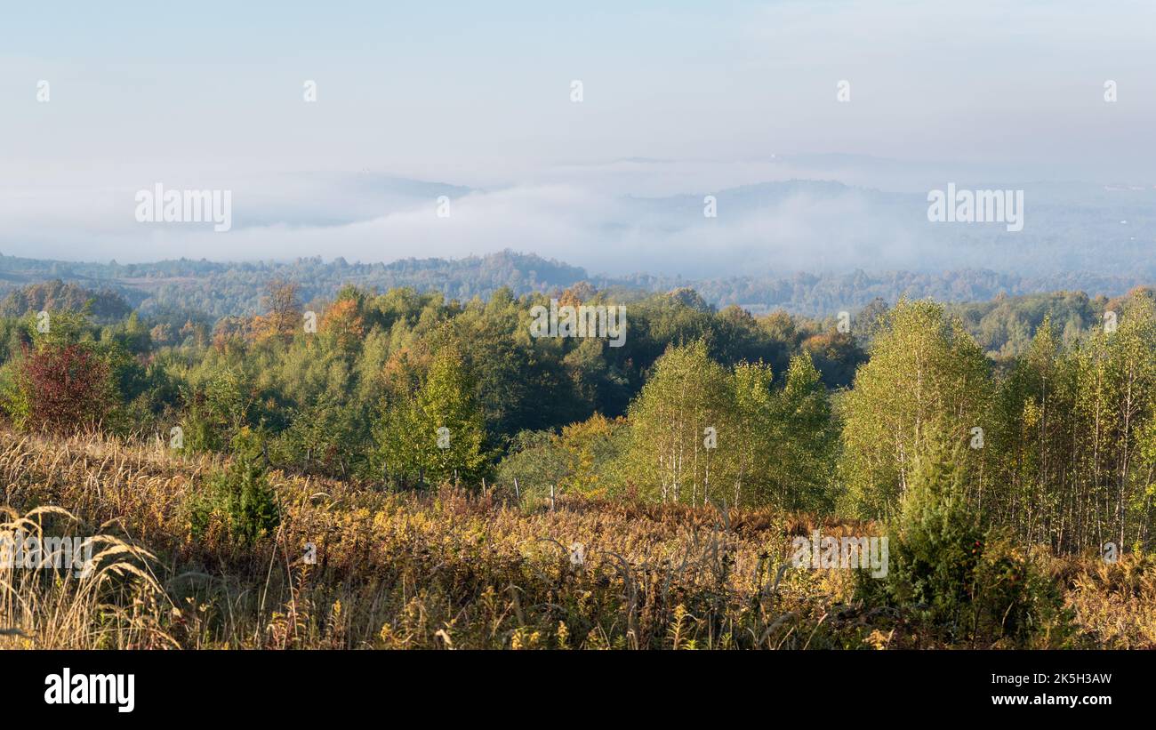 Rural landscape panorama in autumn, fog overflow over the hill ...
