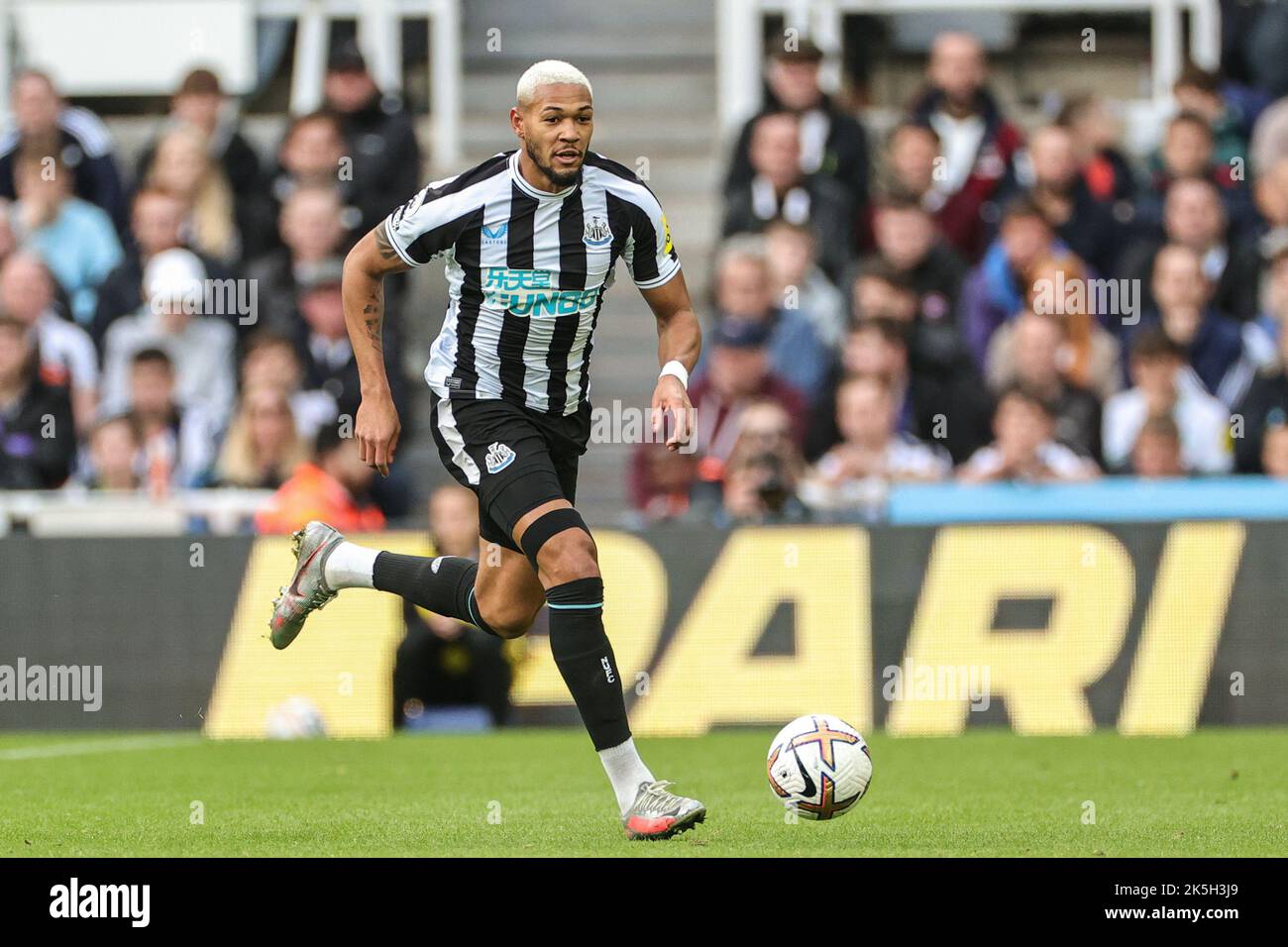 Joelinton #7 of Newcastle United in action during the Premier League ...
