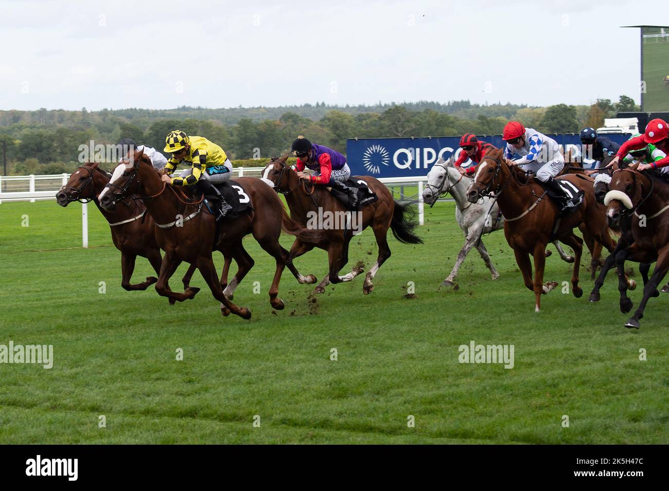 Racing syndicate ascot hi-res stock photography and images - Alamy