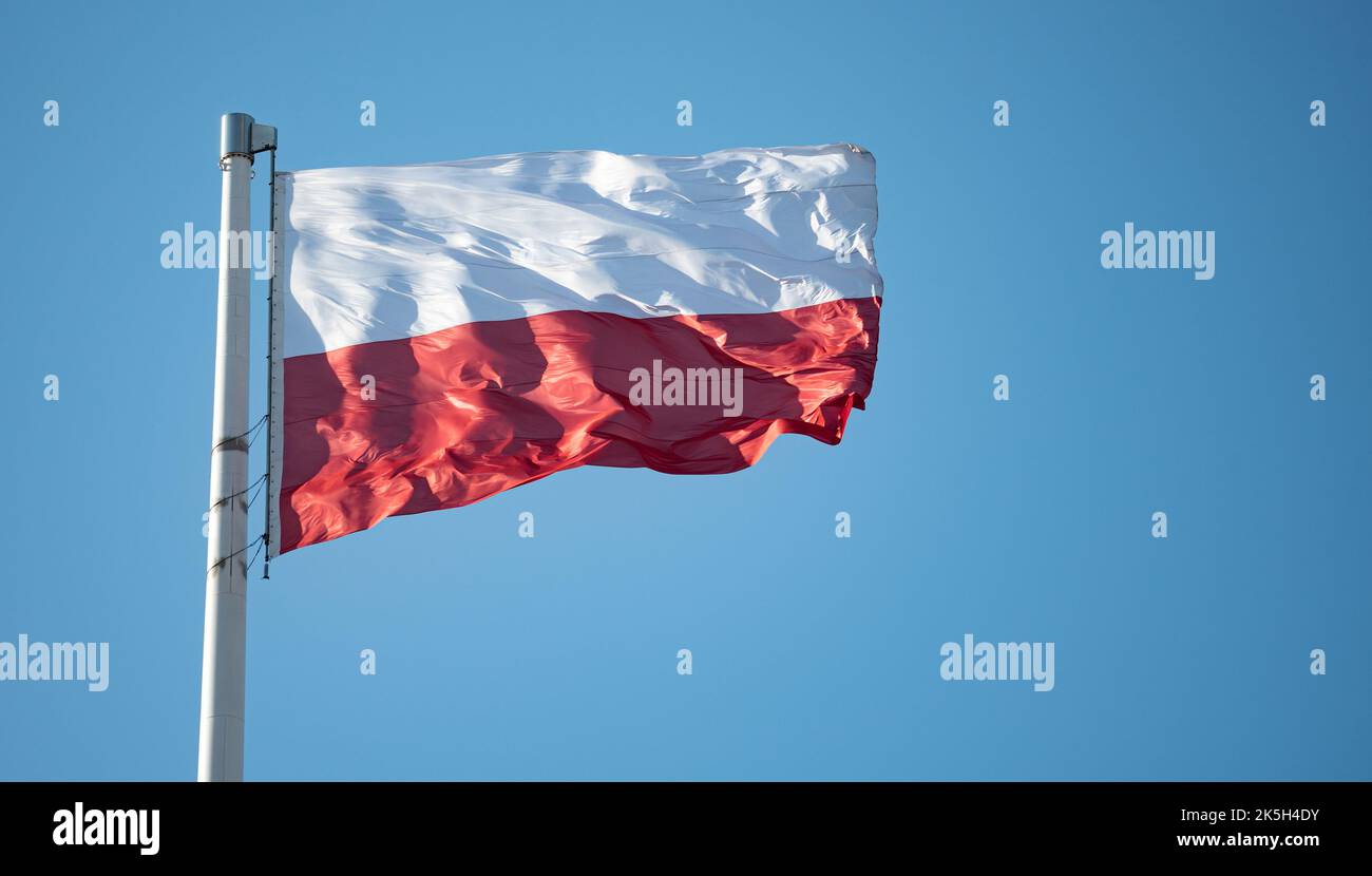 Polish red and white flag in the wind. A wavy Polish flag hoisted on ...