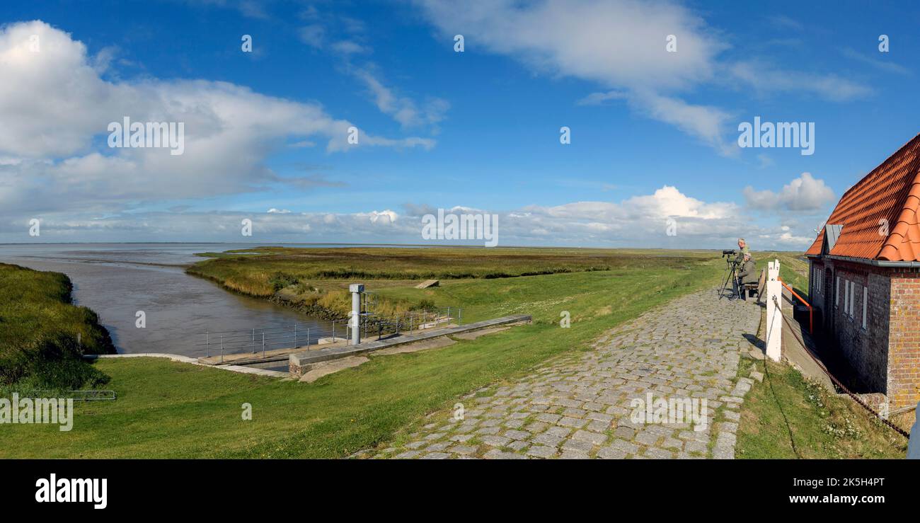 Birdwatching in Wadden Sea National Park at Ballum Sluse, Bredebro ...