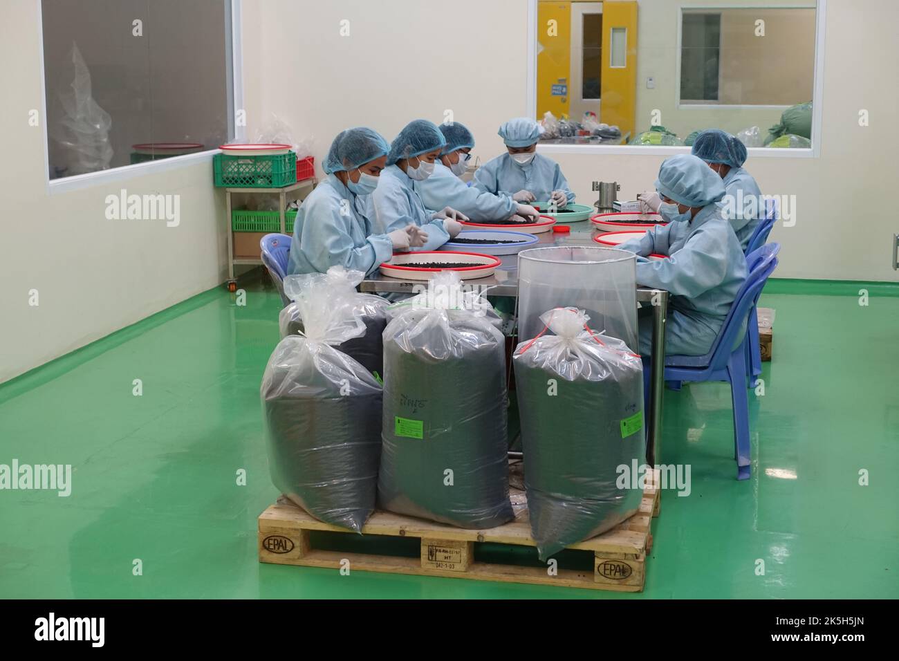 Hand sorting Kampot peppercorns before packaging in Cambodia Stock ...