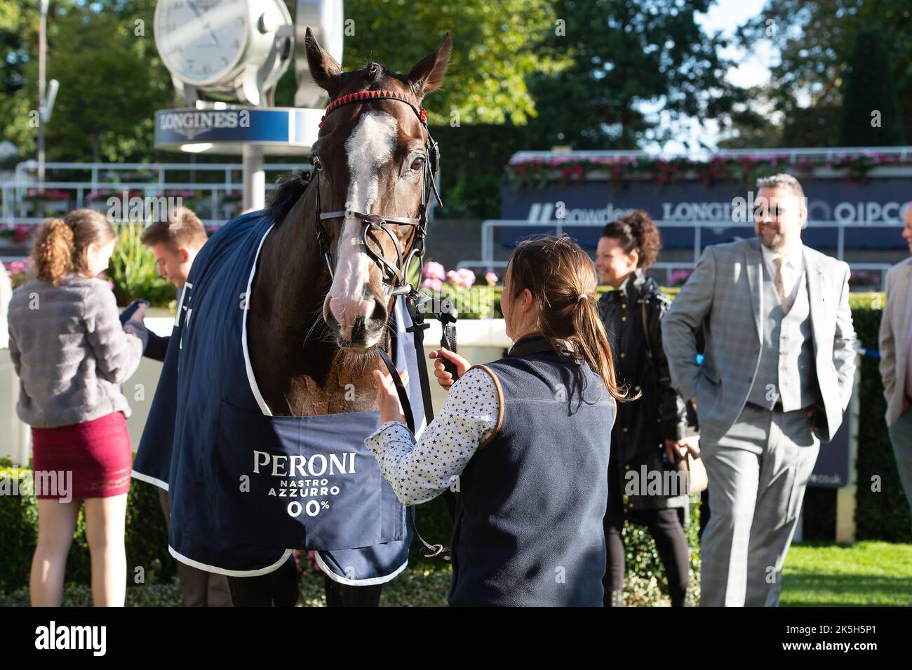 Ascot, Berkshire, UK. 1st October, 2022. Horse Dream Composer ridden by ...