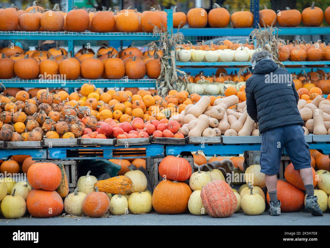 A man is shown next to a stand selling Gourds at a market in Montreal ...