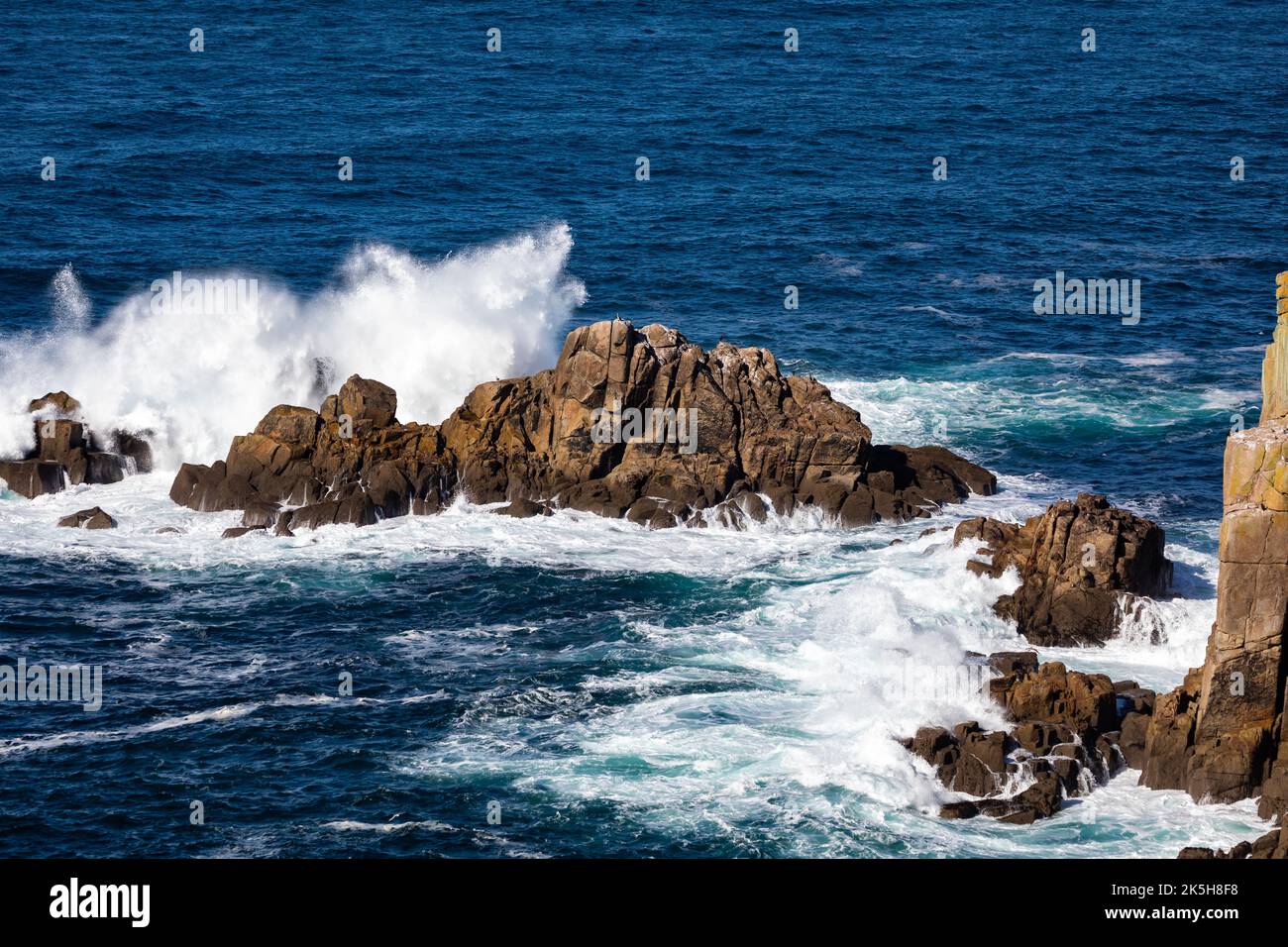 Blue fin tuna uk hi-res stock photography and images - Alamy