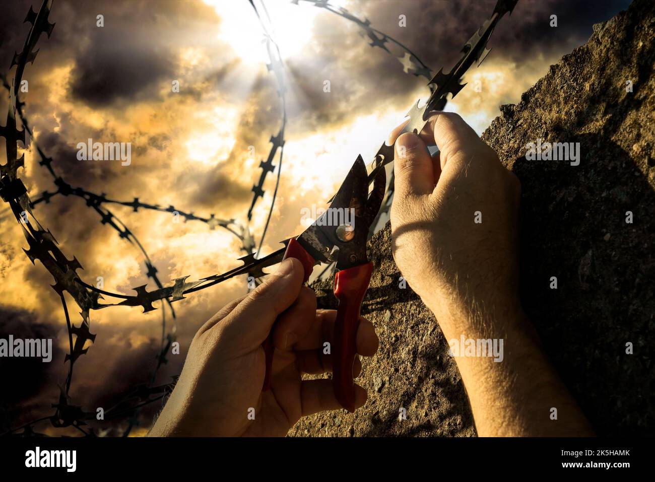 Prisoner hands barbed wire hi-res stock photography and images - Alamy