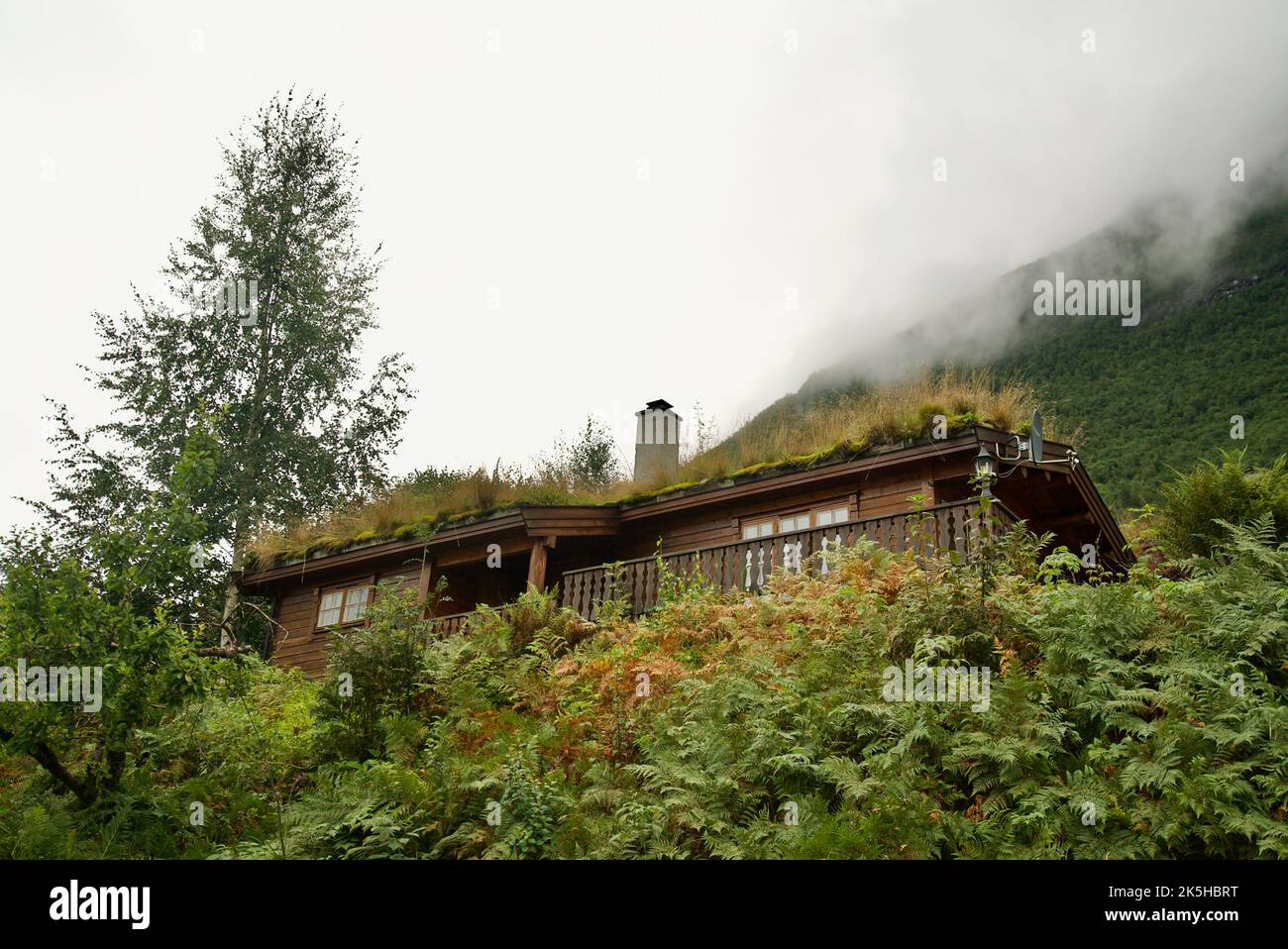 Grass roofing on a house in Olden Norway. Wooden cabin house with grass ...