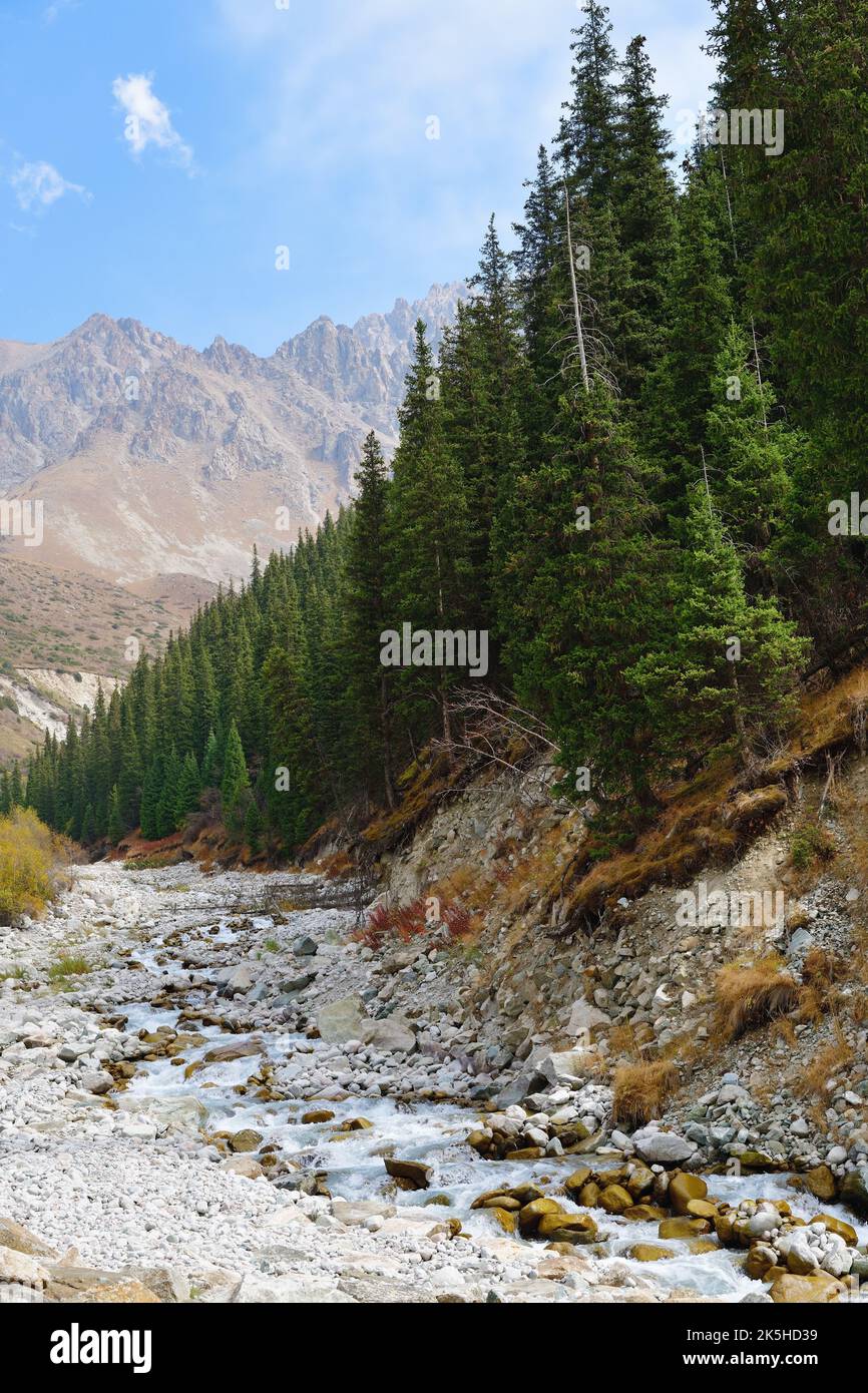 Ak Sai valley autumn landscape. Stone run, mountain river, Tian Shan ...