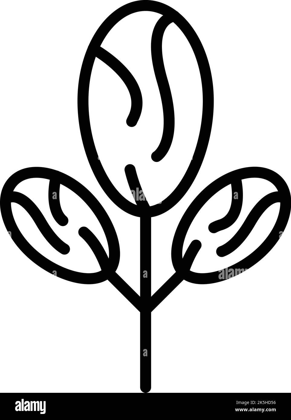 Dried seed icon outline vector. Food fruit. Sweet dry Stock Vector ...