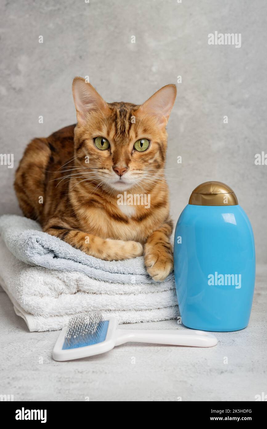 Care salon hi-res stock photography and images - Alamy