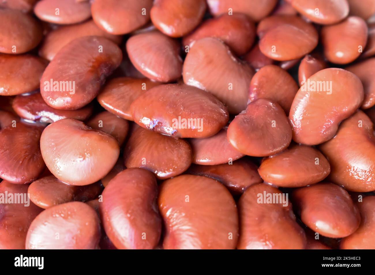 Red flat beans. Protein rich food. Healthy diet. Closeup view Stock ...