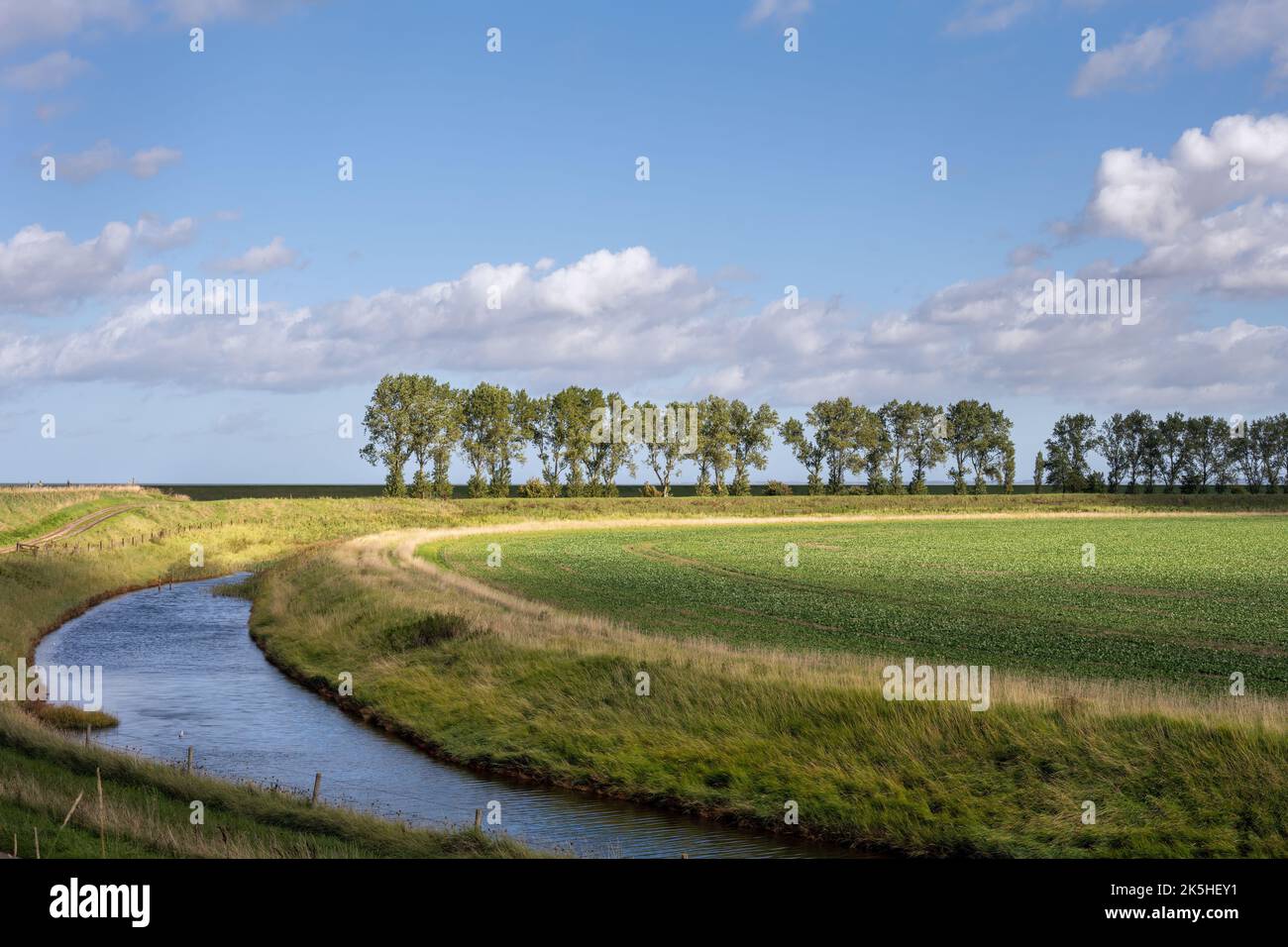 Landscape in the Fens, channel, field and trees on an autumn day ...