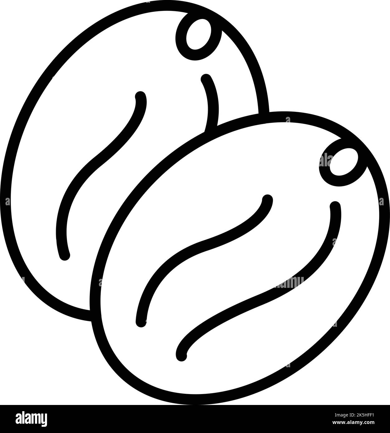 Dry fruit icon outline vector. Food date. Natural seed Stock Vector ...