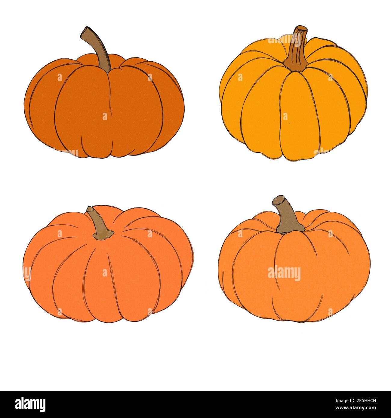 Pumpkin watercolor drawing free hand. Pumpkin for Thanksgiving. Bright ...