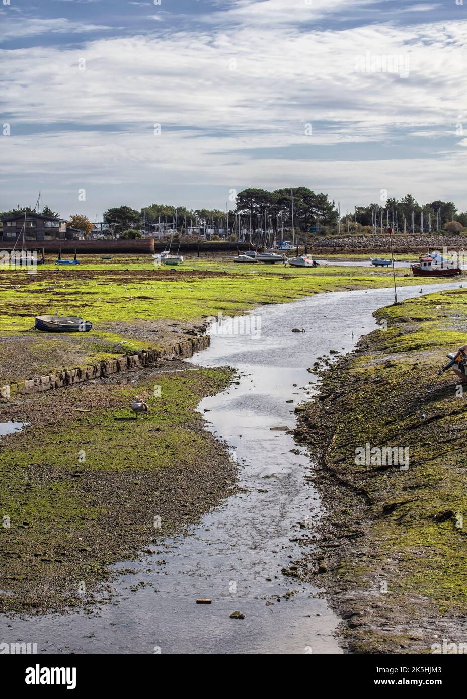 Emsworth Harbour in Hampshire Stock Photo - Alamy