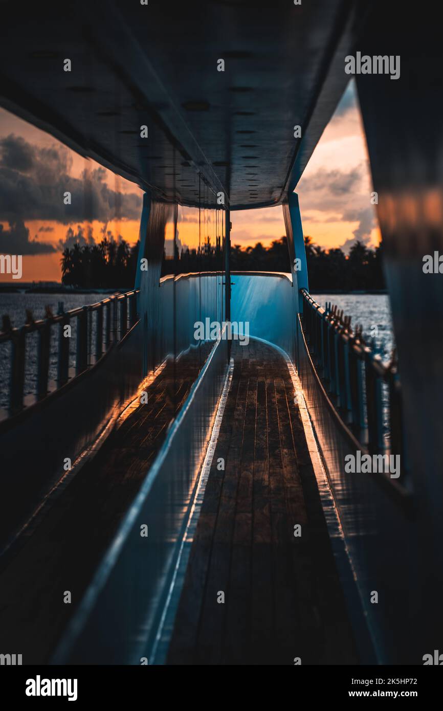 A vertical low-key shot with a shallow depth of field and a selective ...