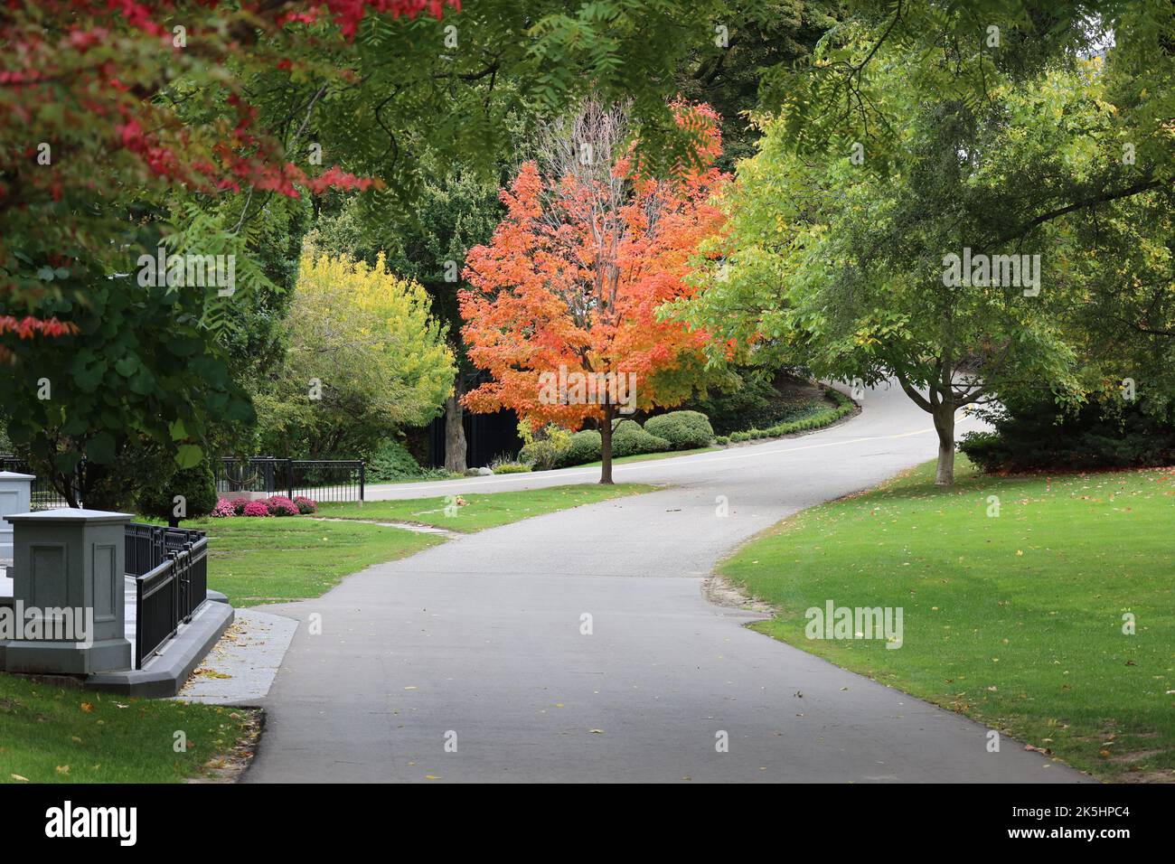 Picturesque tree stands hi-res stock photography and images - Alamy