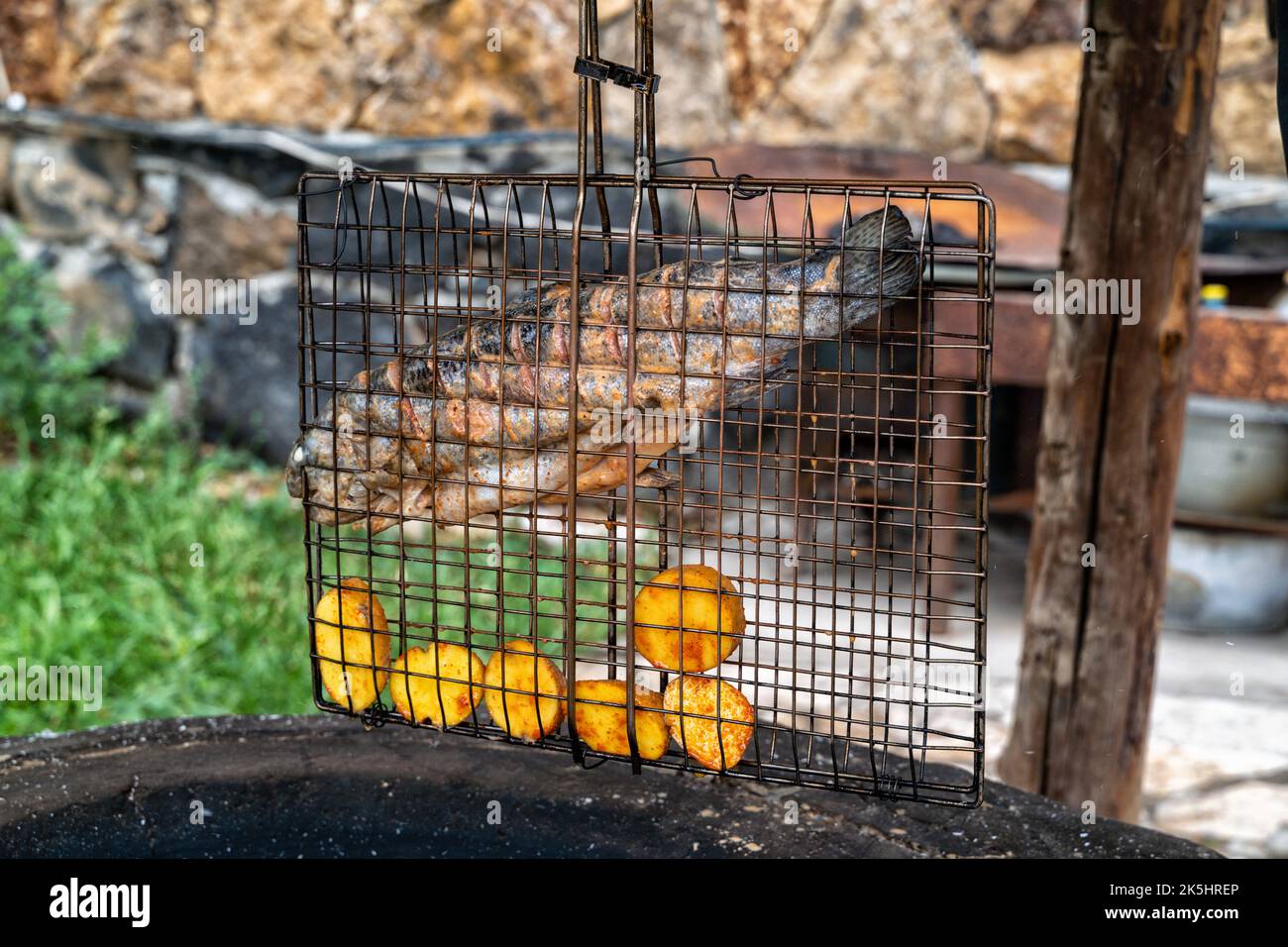Raw fish for shish kebab and potatoes strung on a skewer for cooking in ...