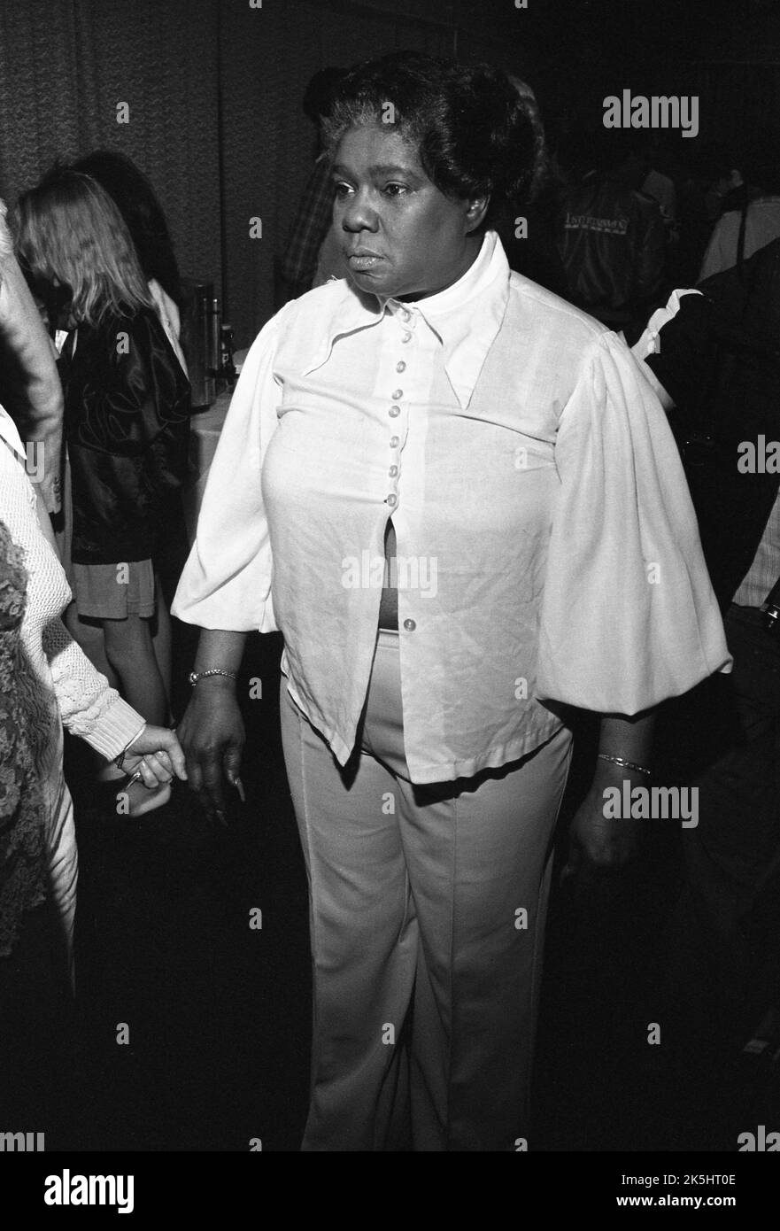 Linda Hopkins at Stars and Hearts benefit for The Fund For Animals at ...