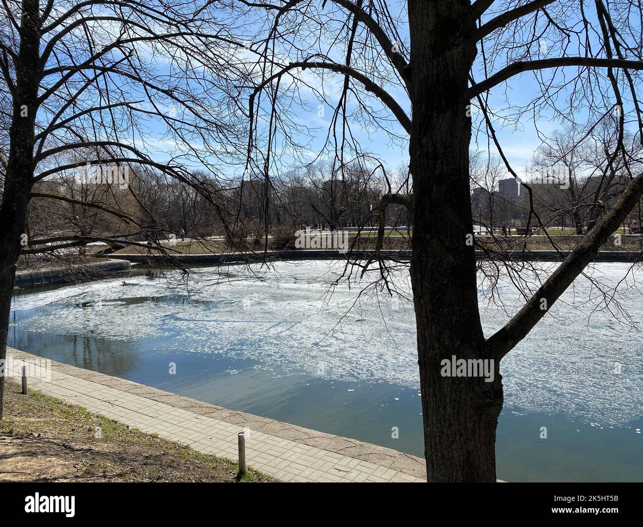 Spring in city park hi-res stock photography and images - Alamy