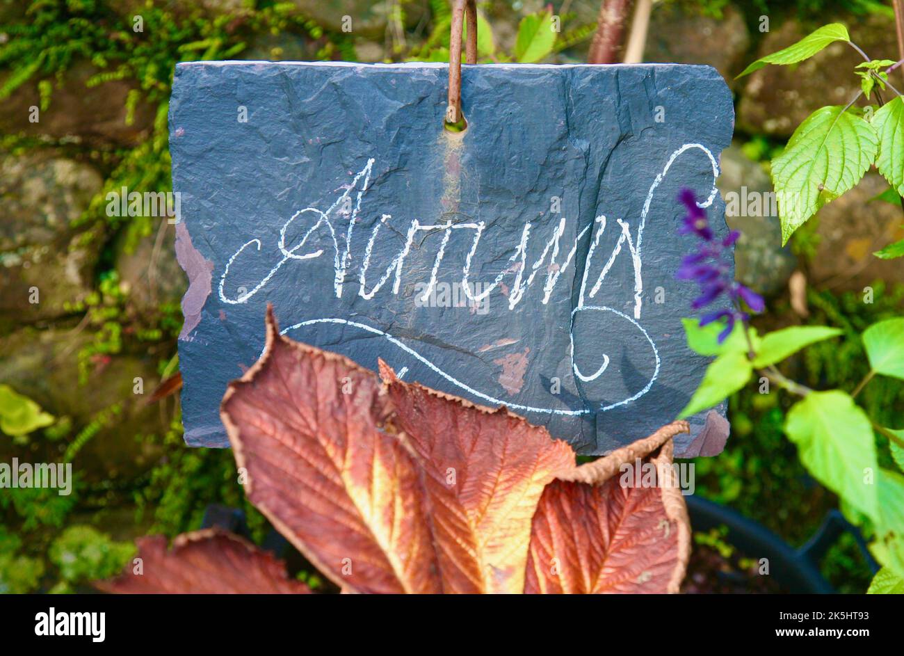 A sign indicating that autumn has arrived Stock Photo - Alamy