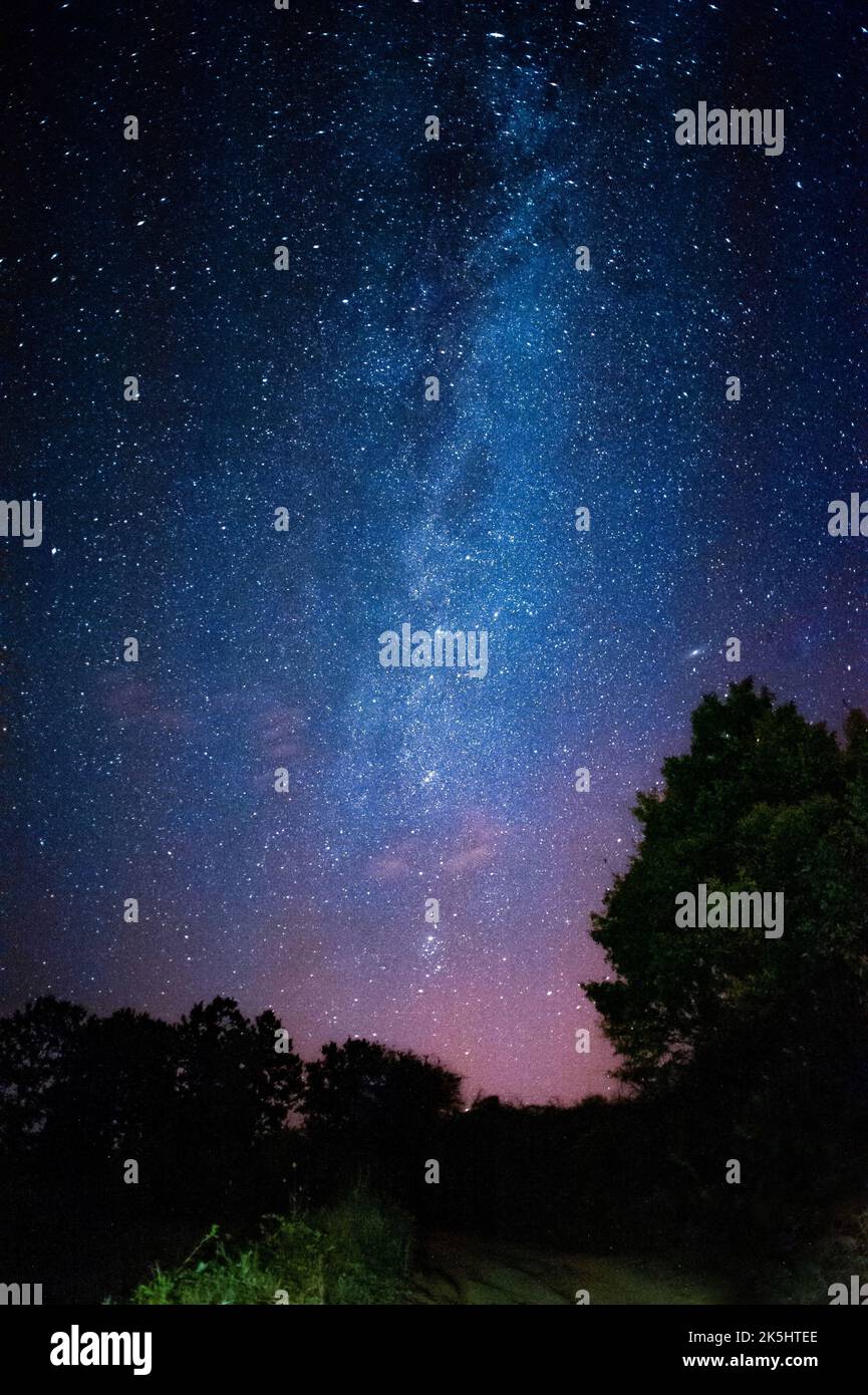 A vertical of a beautiful starry sky and the silhouettes of the trees ...