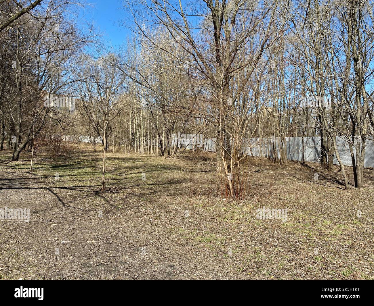 spring in city park at dry sunny day Stock Photo - Alamy