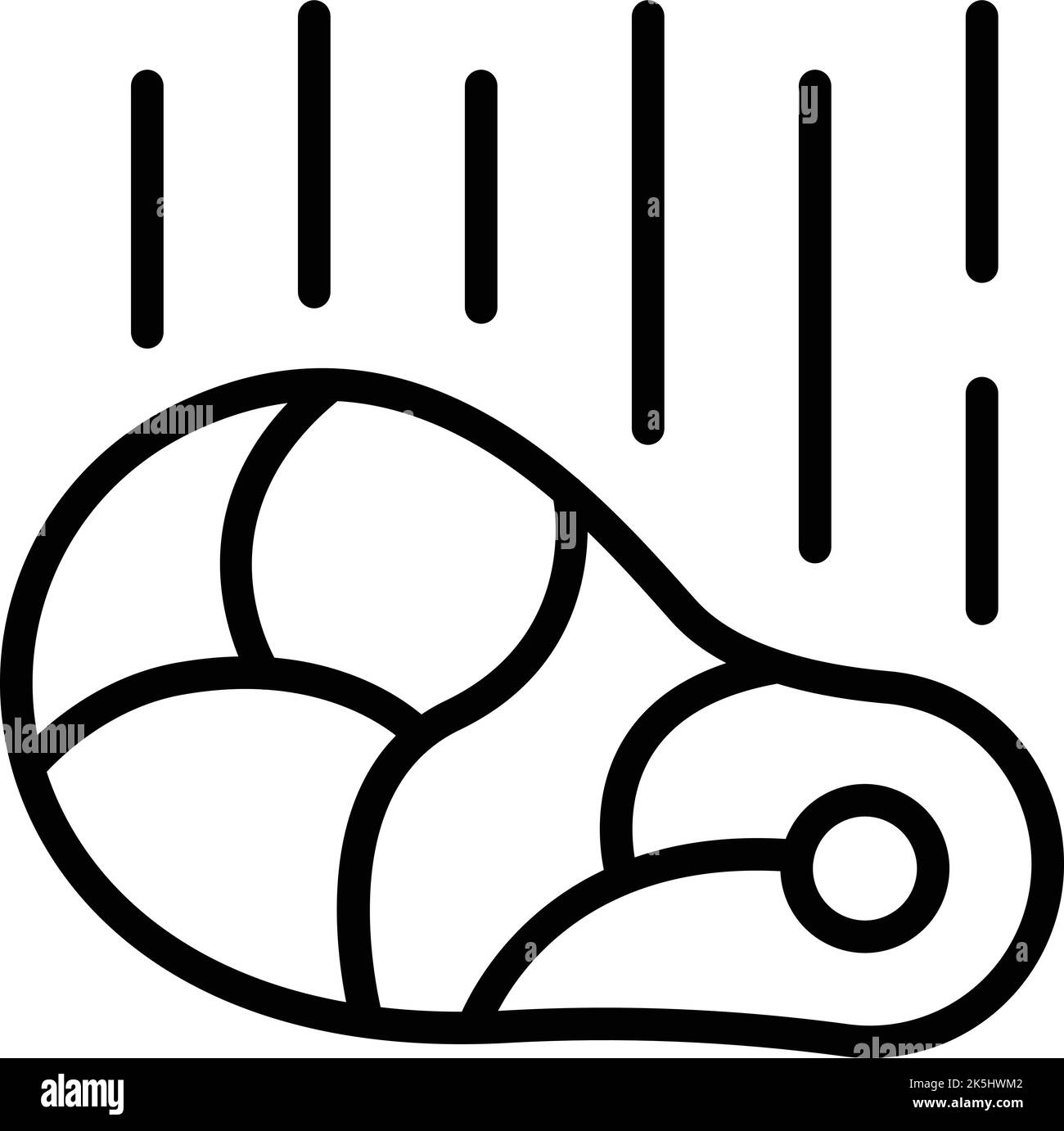 Beef meat icon outline vector. Pork food. Raw bbq Stock Vector Image ...